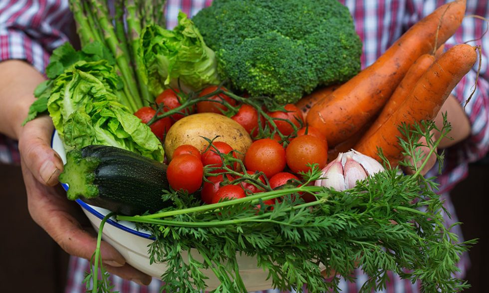 Zelenjava - sezonsko, okusno in kakovostno - Vrtnarstvo GRAH